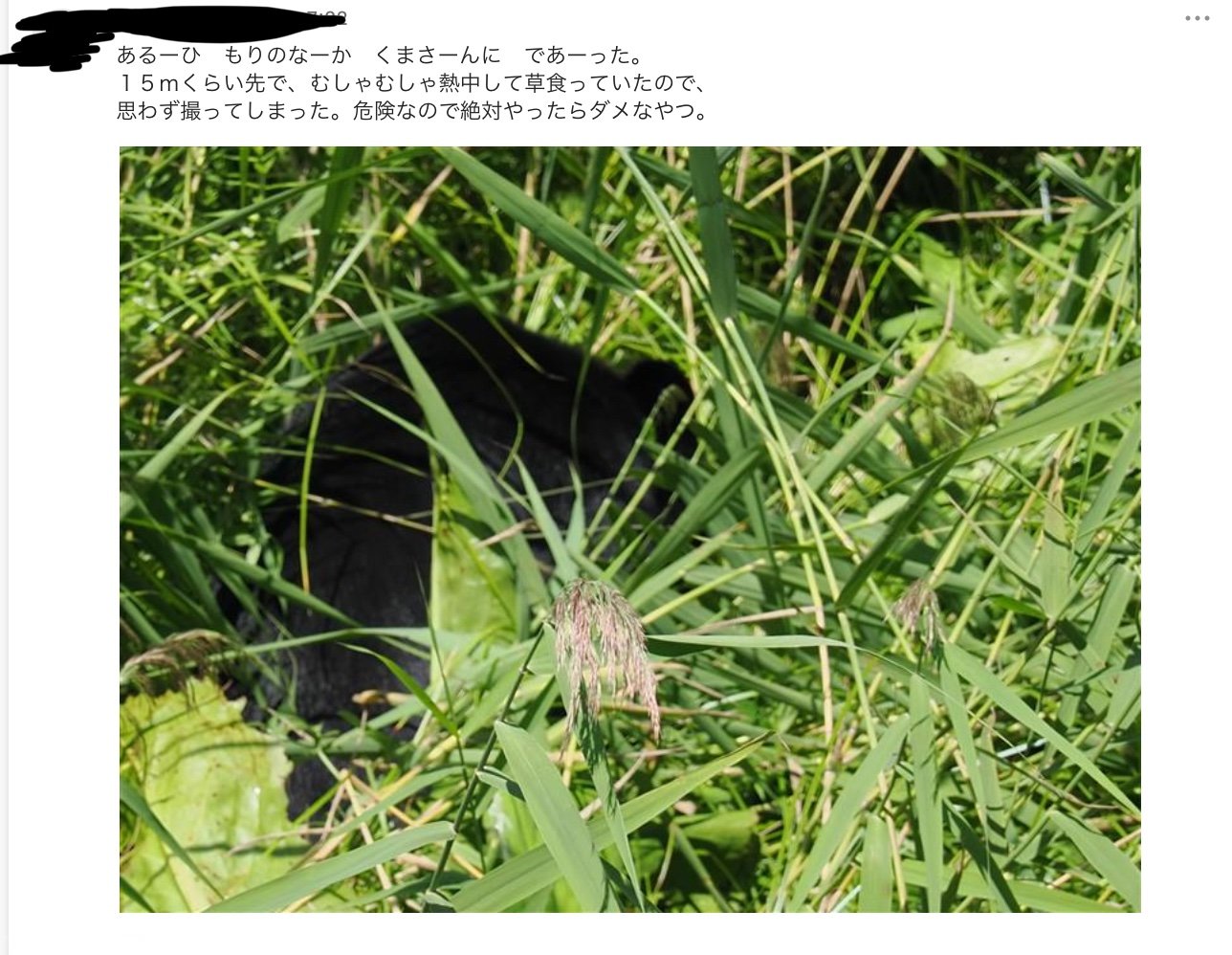 囚人@またどこかで会おうね (@ema7) | おちゃすき〜 / Ochaskey 🍵