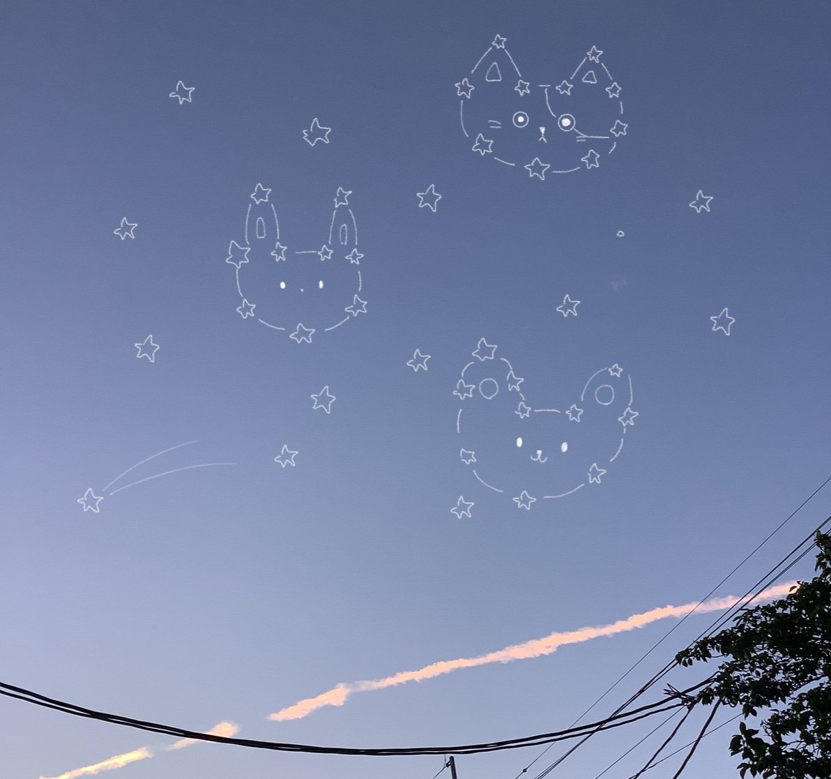 のりまき (@utumaru) | おちゃすき〜 / Ochaskey 🍵